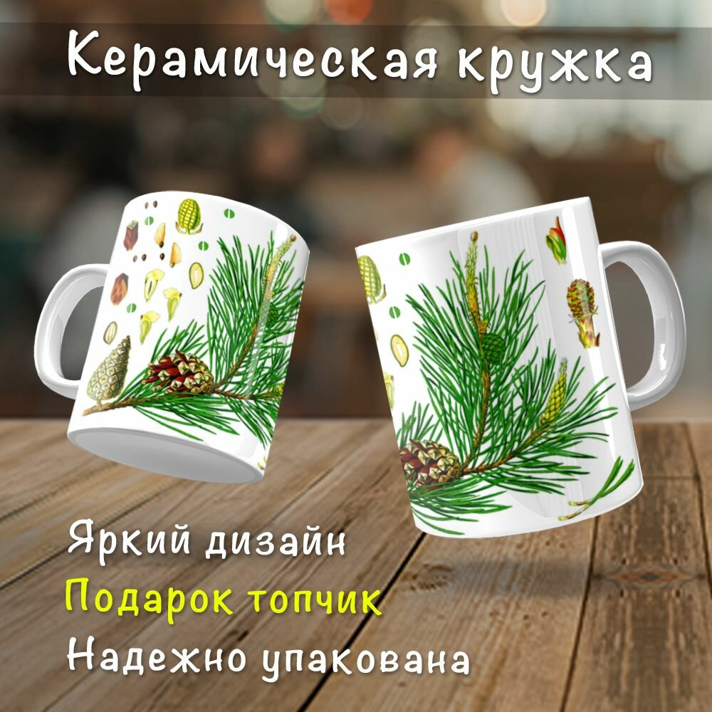 Кружка керамическая "Шишки 2 растения из иллюстраций"