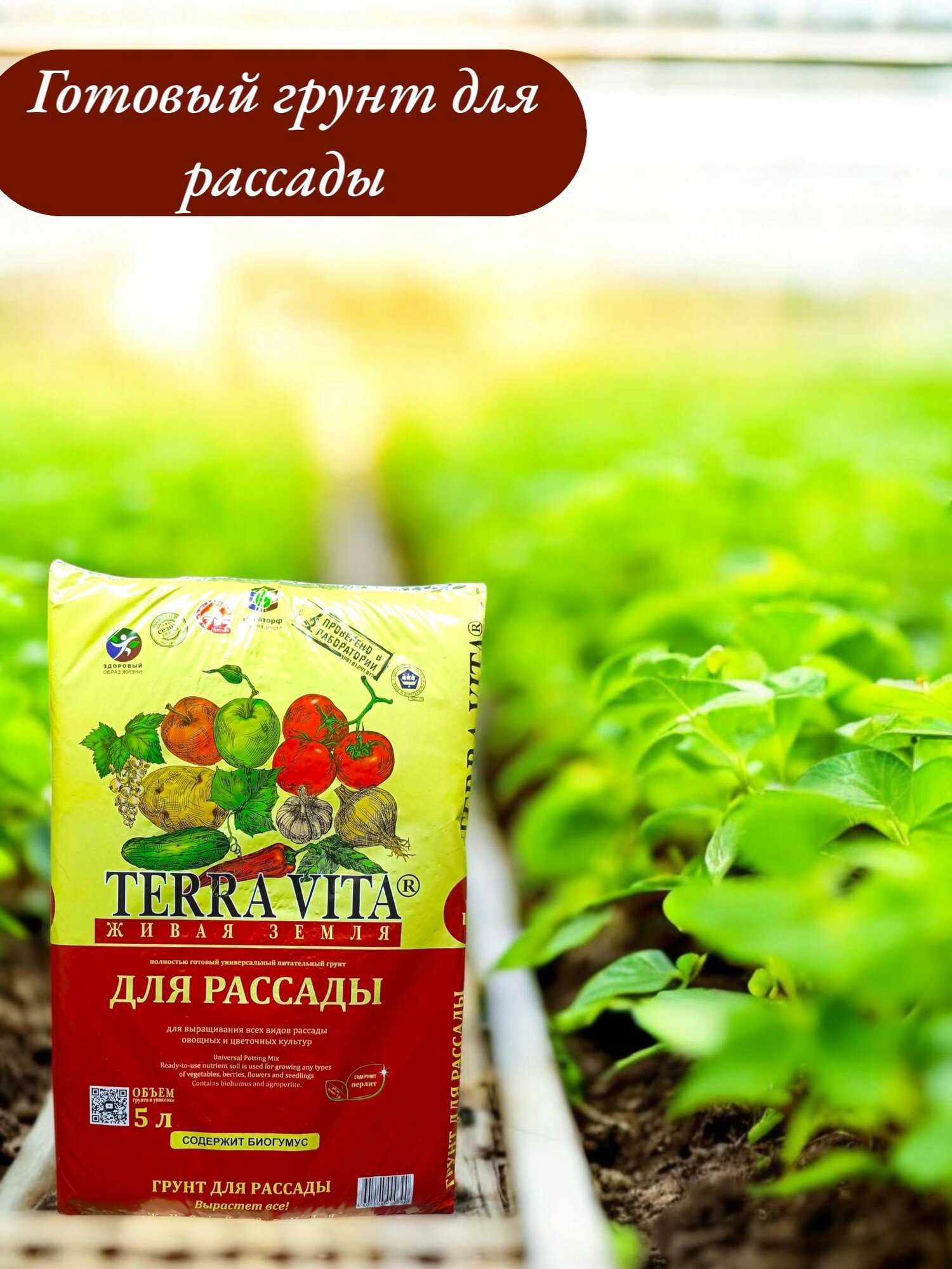 TERRA VITA Грунт для рассады 5 л.