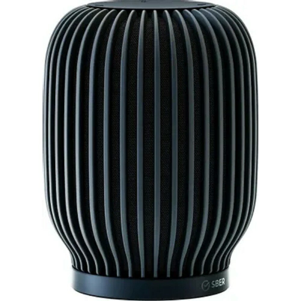 SBER Акустическая система серии Boom модели SBDV-00090, цвет черный, торговой марки
