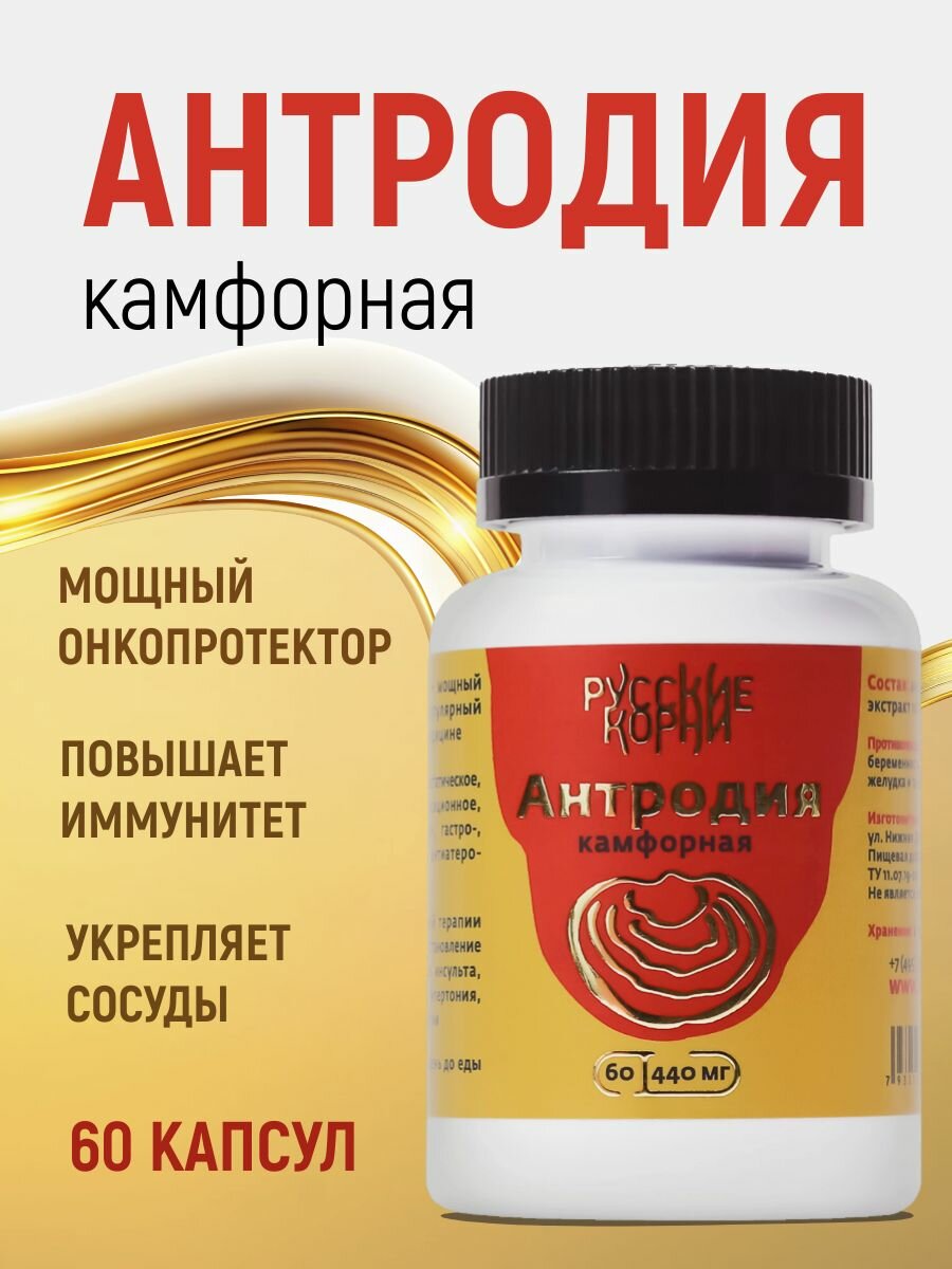 Антродия камфорная, экстракт, 60 капсул по 350 мг - "Русские корни"