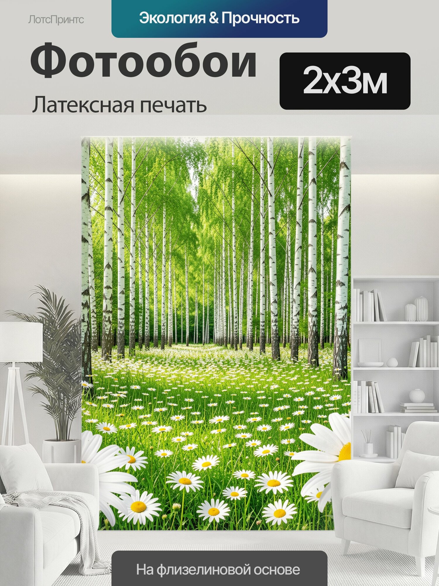 Фотообои моющиеся ударопрочные "Берёзовая роща с ромашками. Светлый весенний лес с высокими белоствольными деревьями и густым ковром полевых." 200x300 см. латексная печать