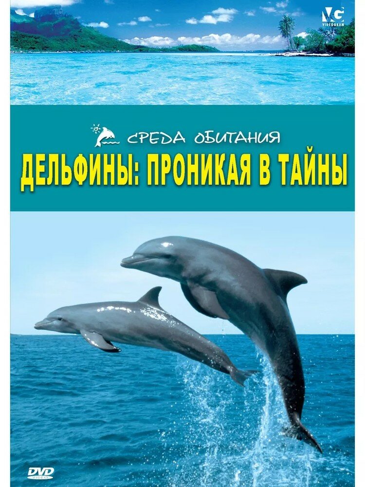 Дельфины: Проникая в тайны. Региональная версия DVD-video (DVD-box)