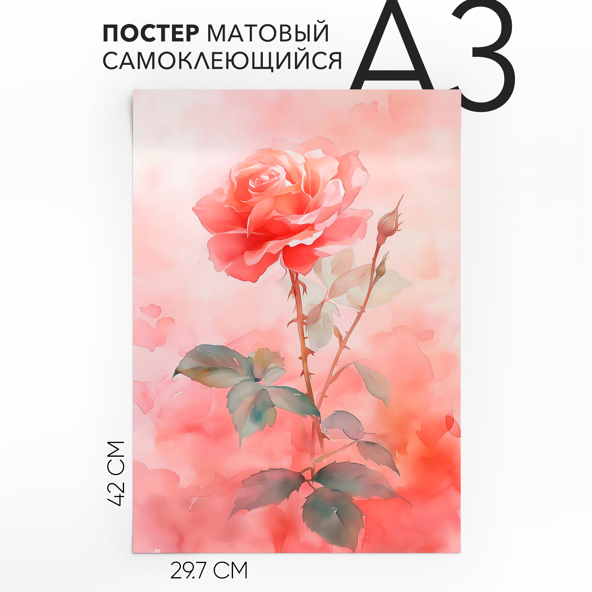 Картины постеры на стену самоклеящийся A3 Роза, влагостойкий, для декора