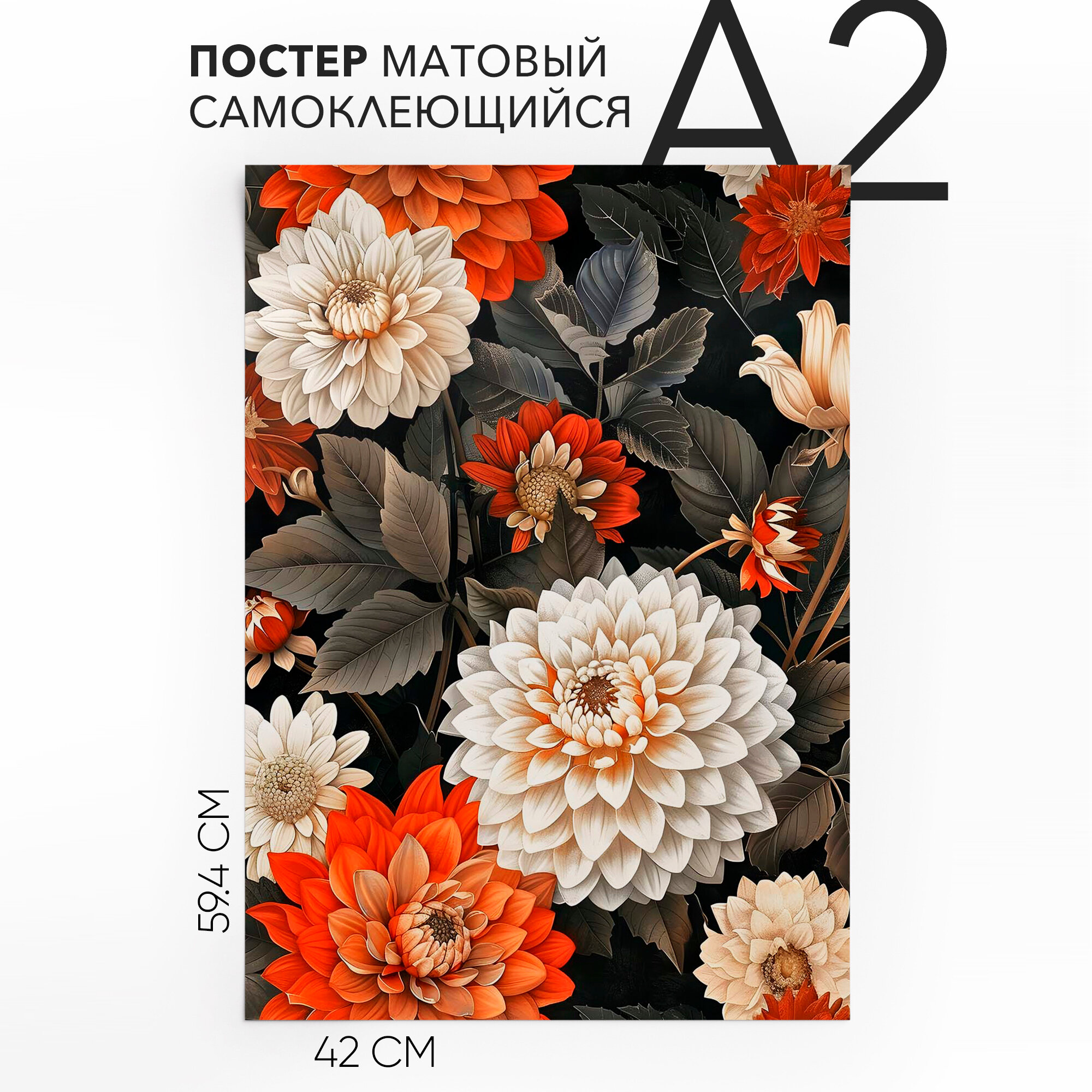 Постеры для интерьера самоклеящийся, большой A2 Хризантемы, влагостойкий, для декора