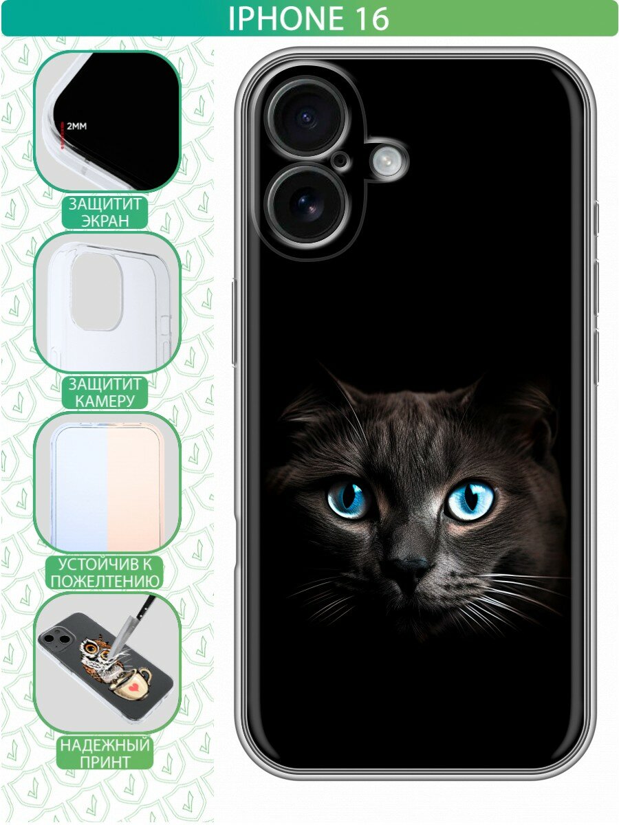 Чехол для Iphone 16 с принтом Черный котик в темноте (Айфон 16)