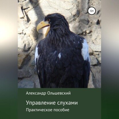 Управление слухами. Практическое пособие [Аудиокнига]