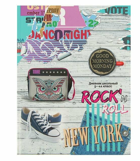 Дневник школьный Проф-пресс 5-11 класс, 48 листов, Рок-Дизайн, Поролон (Д48П-1697)