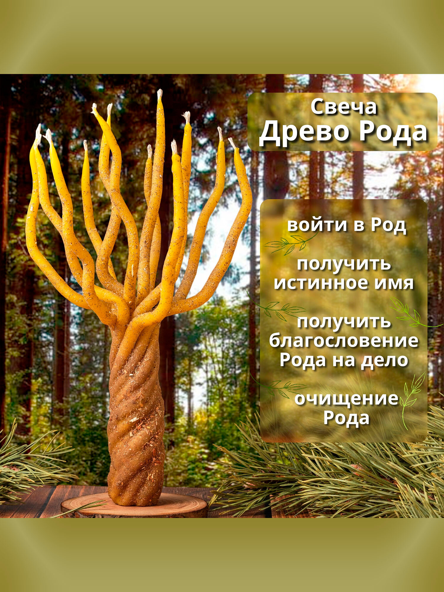 Свеча "Древо Рода", магические свечи, 100% пчелиный воск, работа с Родом