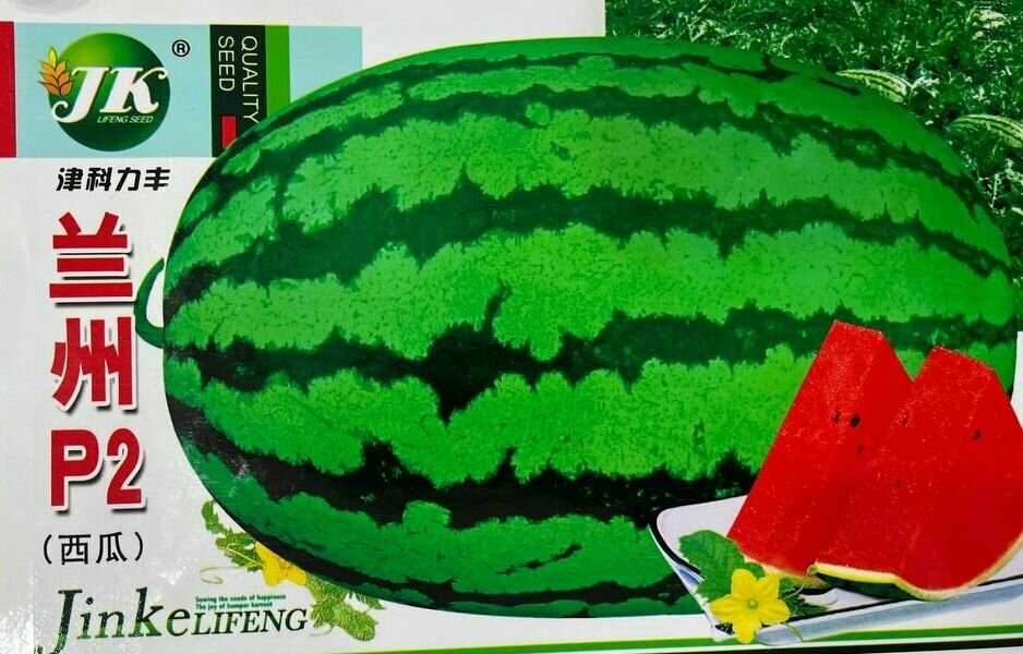Семена китайского арбуза Ланьчжоу Р2