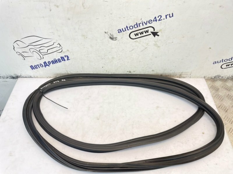 Б/У уплотнитель двери багажника SsangYong Actyon 2012 CK G20T 56795 SSANG YONG арт. 7149134004