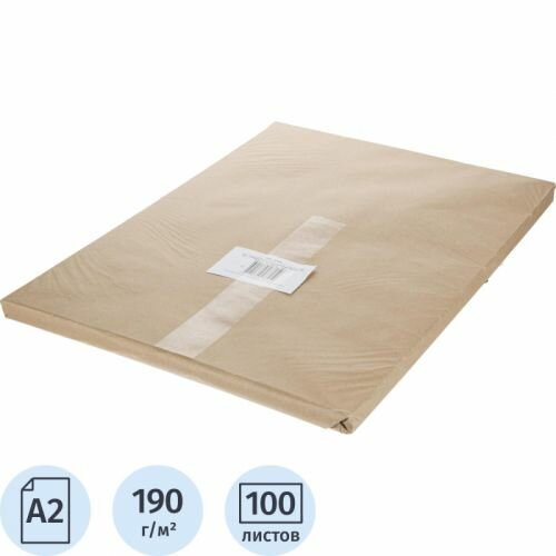 Ватман Выбор Есть А2 100л 190гр, уп. крафт