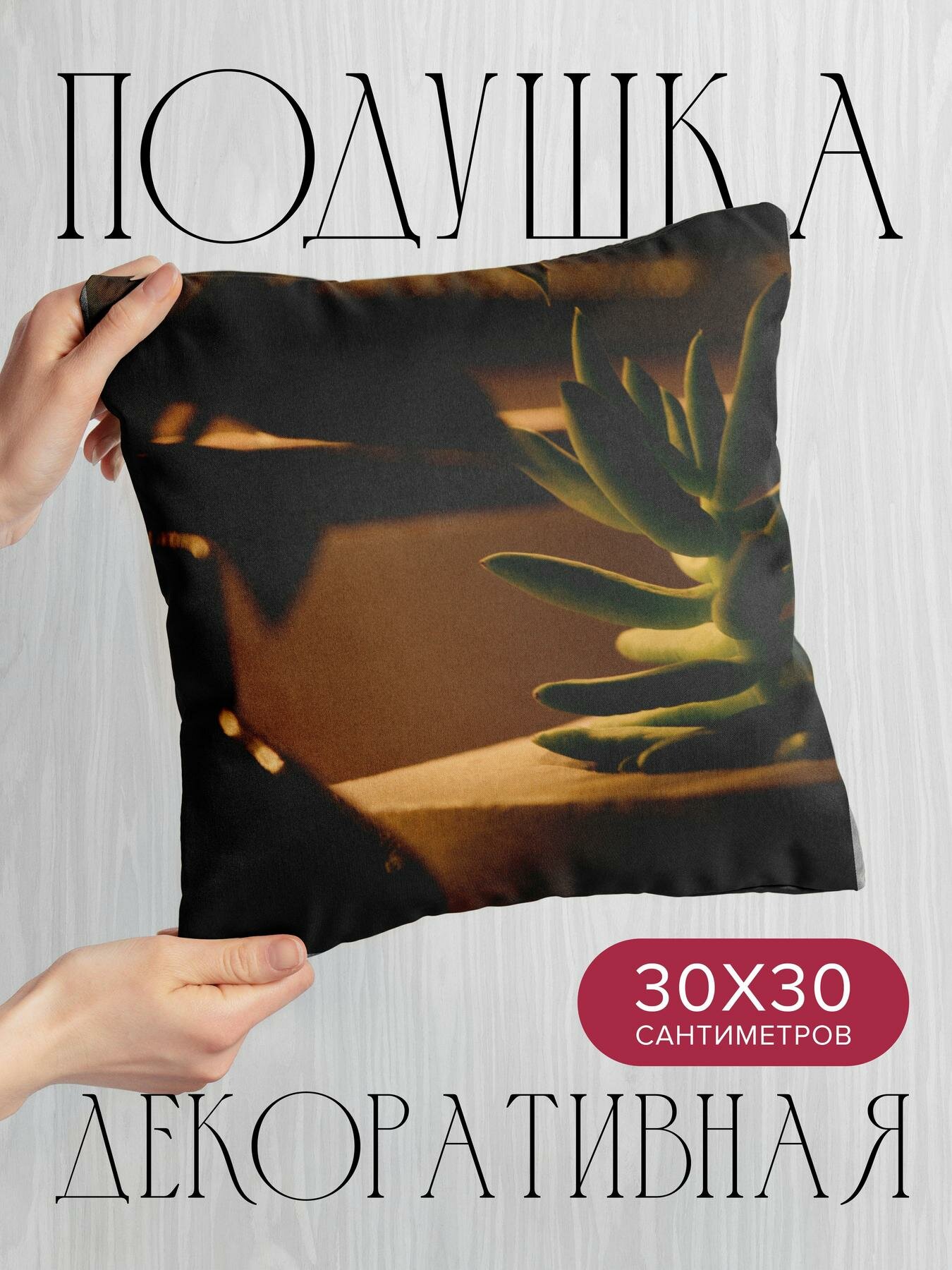 Подушка декоративная, 30x30см / Макро / растение / суккулент
