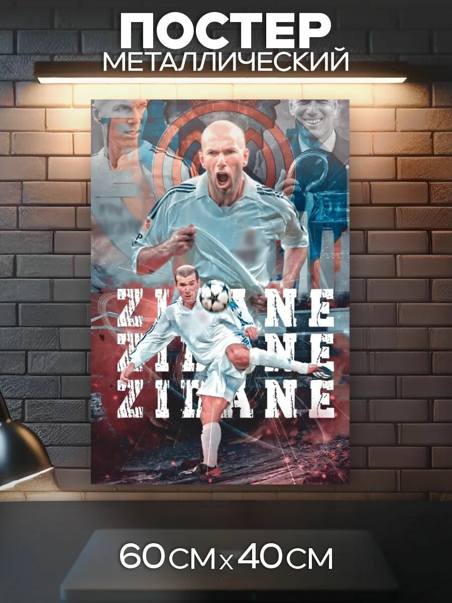 Картина на стену Zidane - Зидан