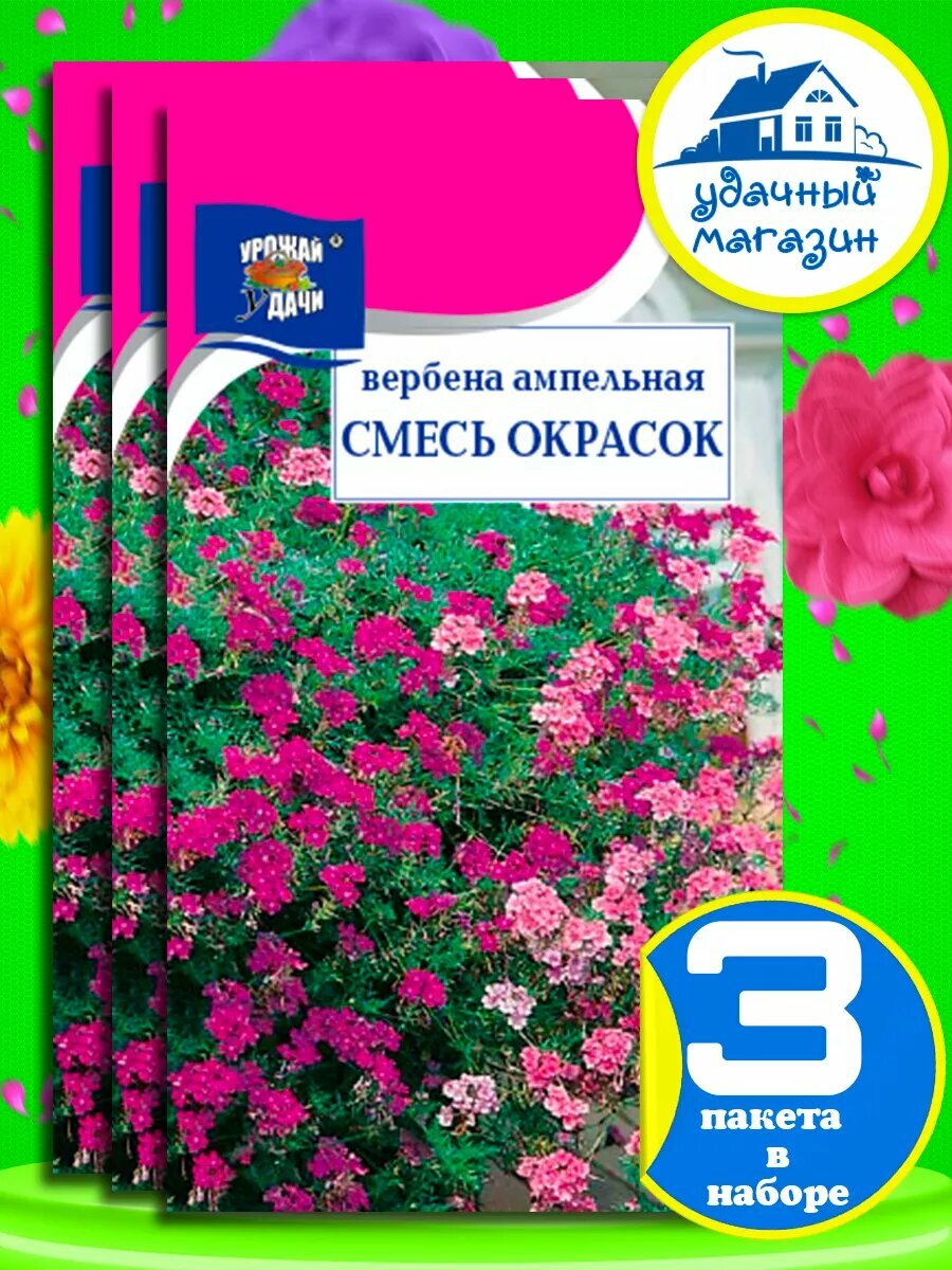 Семена вербена ампельная