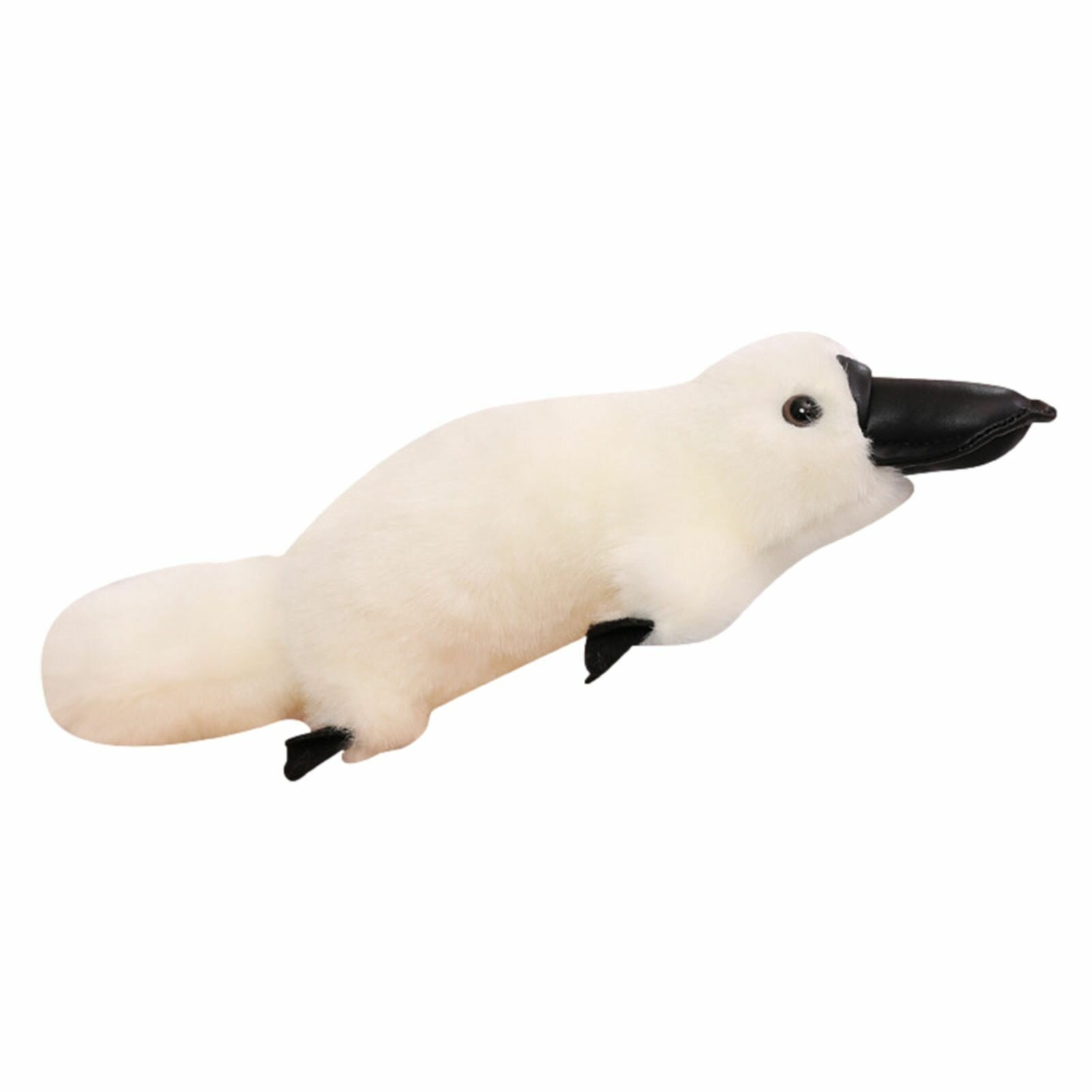 Чучела Уток, Фаршированные Животные