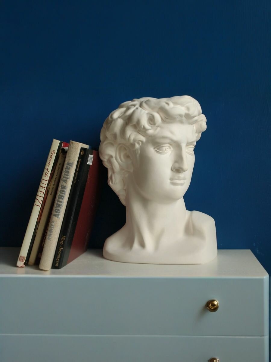 Голова Давида гипсовая фигура 40 см.