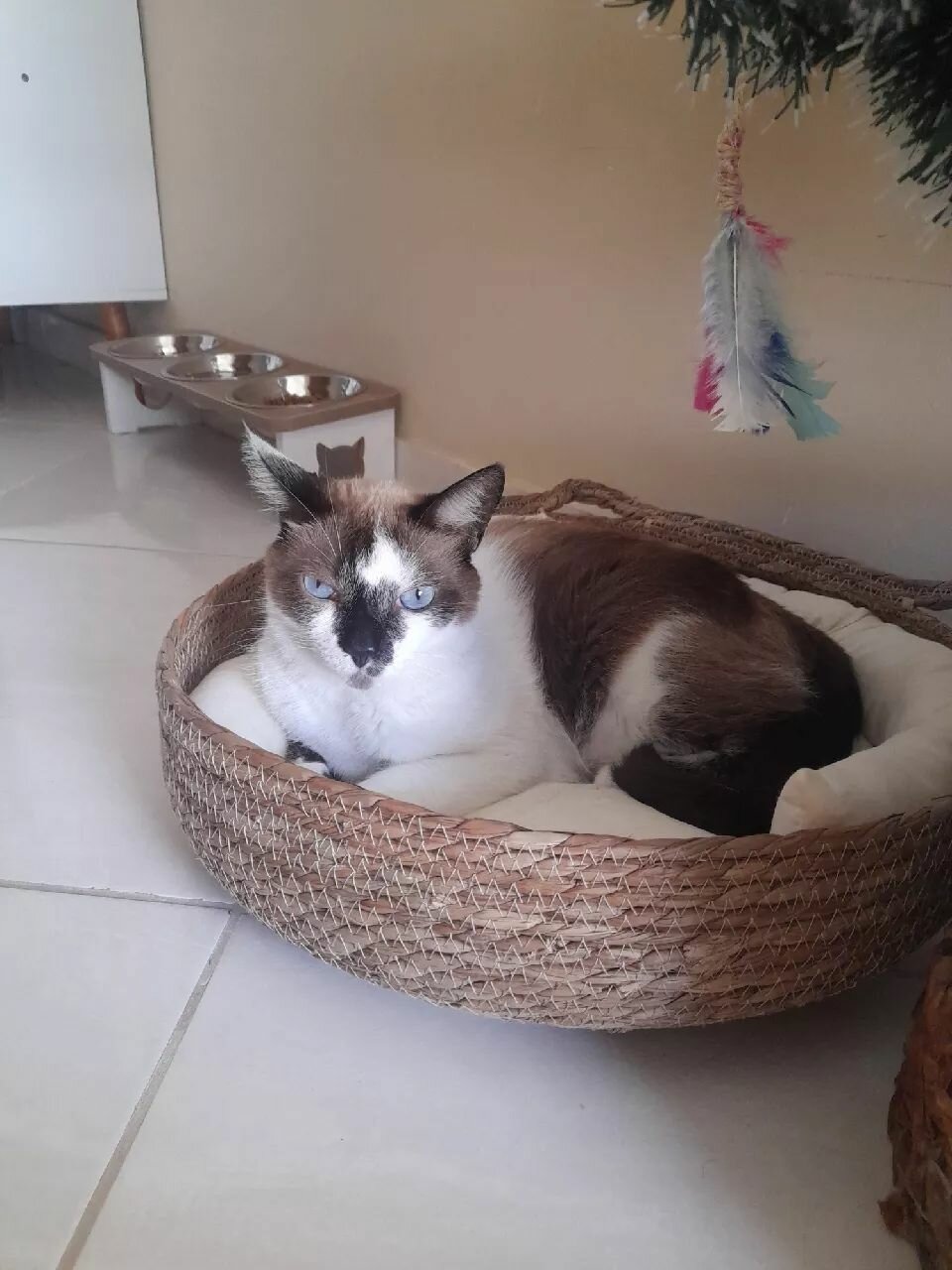 Кошачье гнездышко "Всесезонное", плетеное из ротанга, с съемной подушкой, Размер L, Белый ватный диск