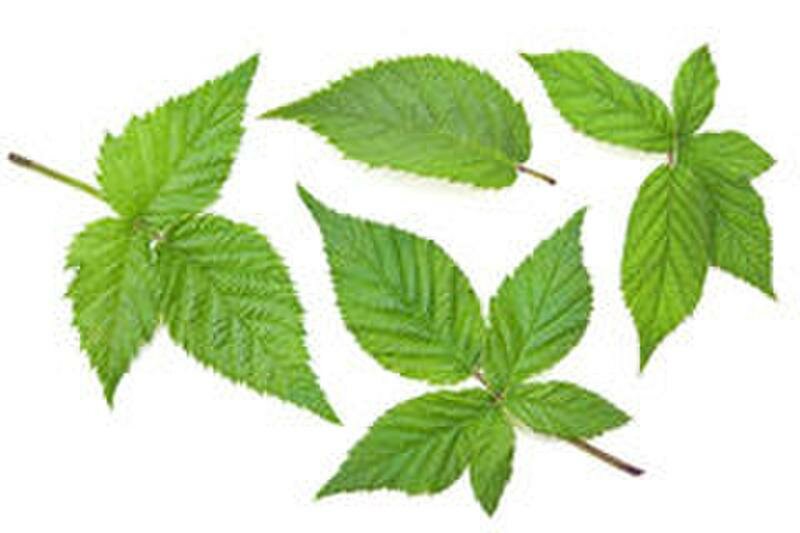 Ежевика, лист, коробка, беловодье, 50 г