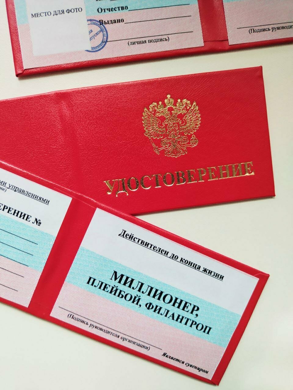 Удостоверение сувенирное ксива миллионер