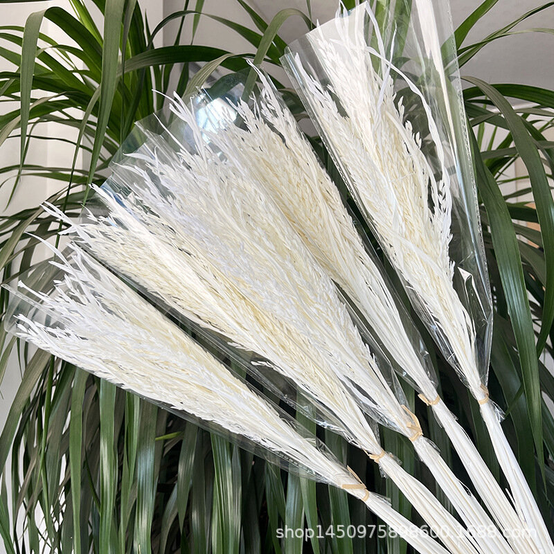 Рисовые колосья, белые, 10 палочек