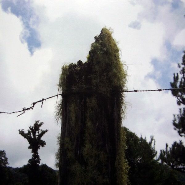 Диск Natural Selection (1 CD) — фото 1