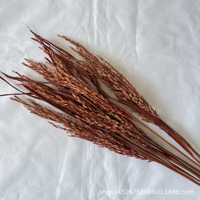 Сушеные рисовые колосья, 10 палочек, темно-коричневые, красные