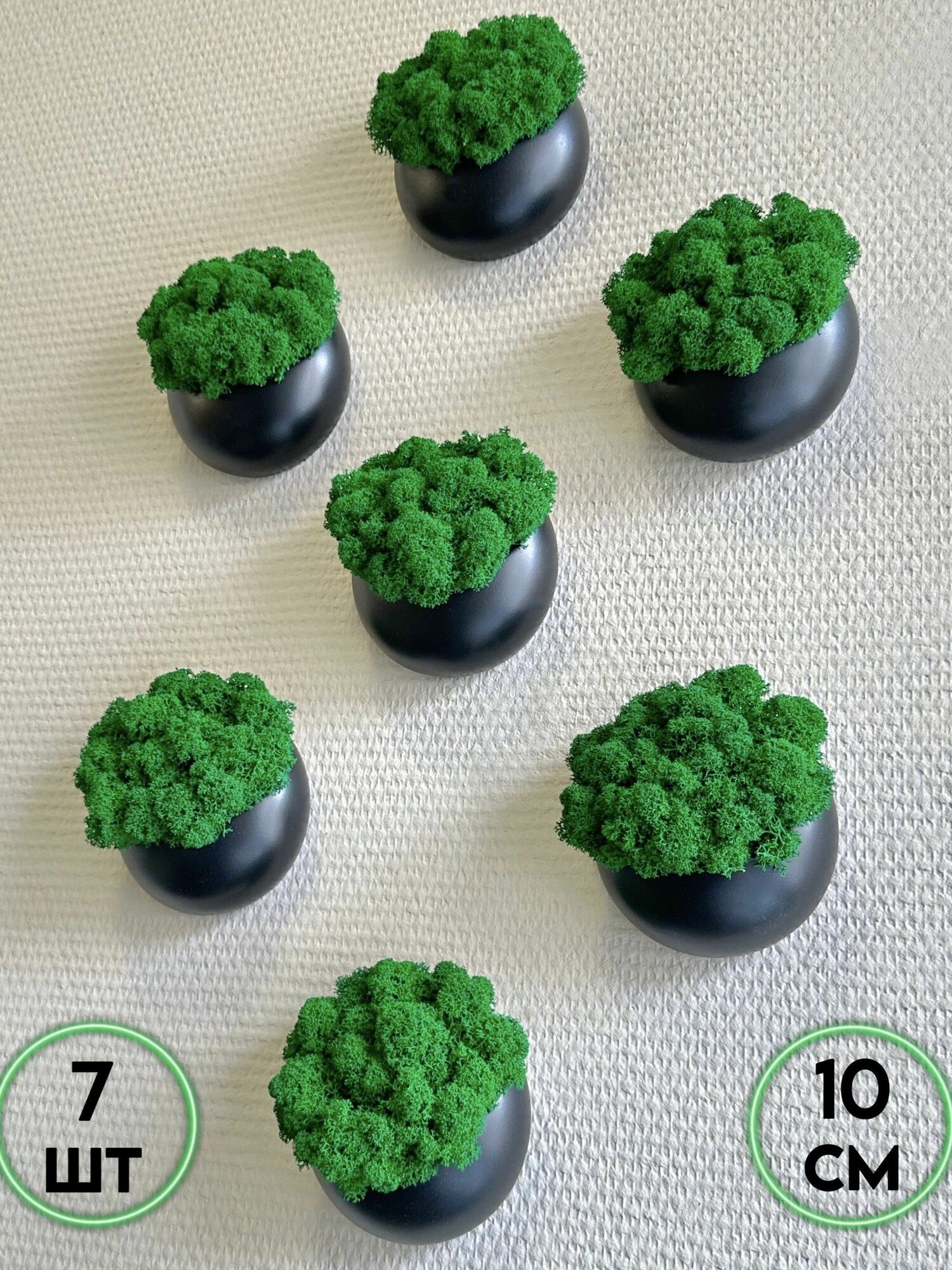 Набор настенных декоративных кашпо 10 см 7 шт черного цвета со стабилизированным мхом на стену интерьерное сухоцветы Molecula Decor