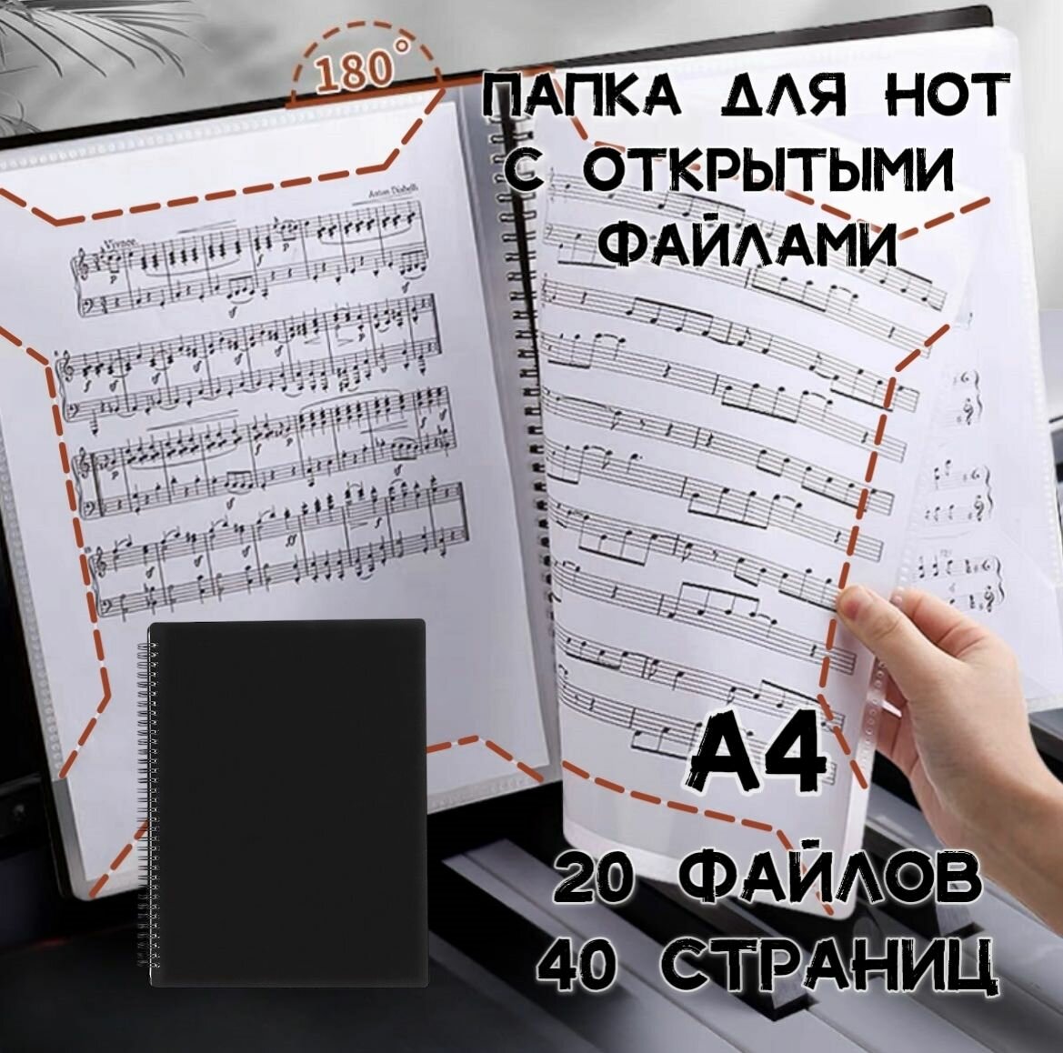 Папка