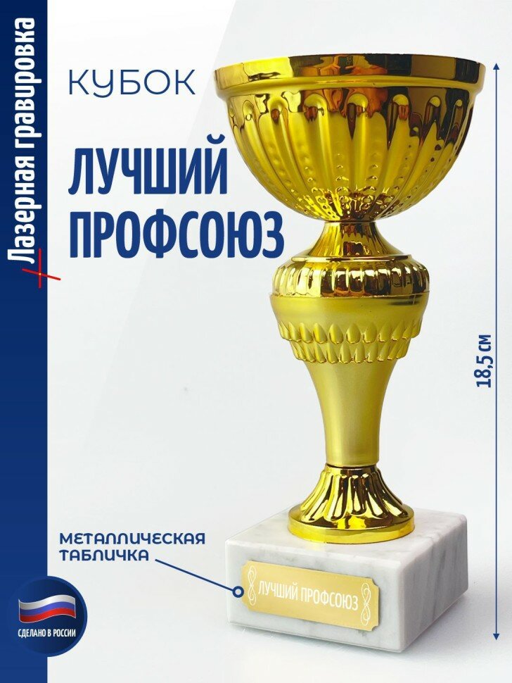 Кубок "Лучший профсоюз" (18,4 см)