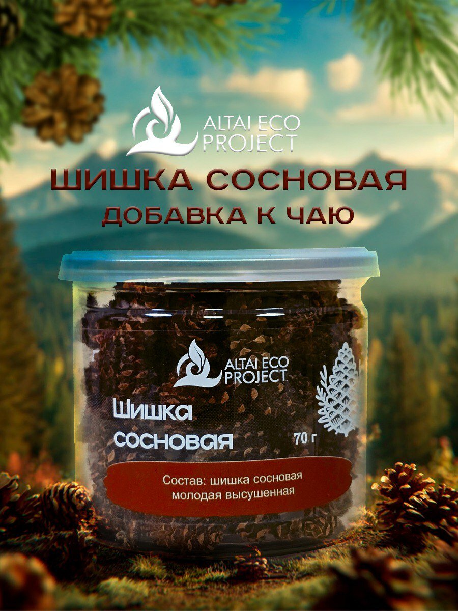 Сосновая шишка Алтайская сушеная