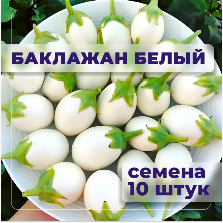 Баклажан "Белое яйцо", для дома и дачи, однолетние, семена 10 штук