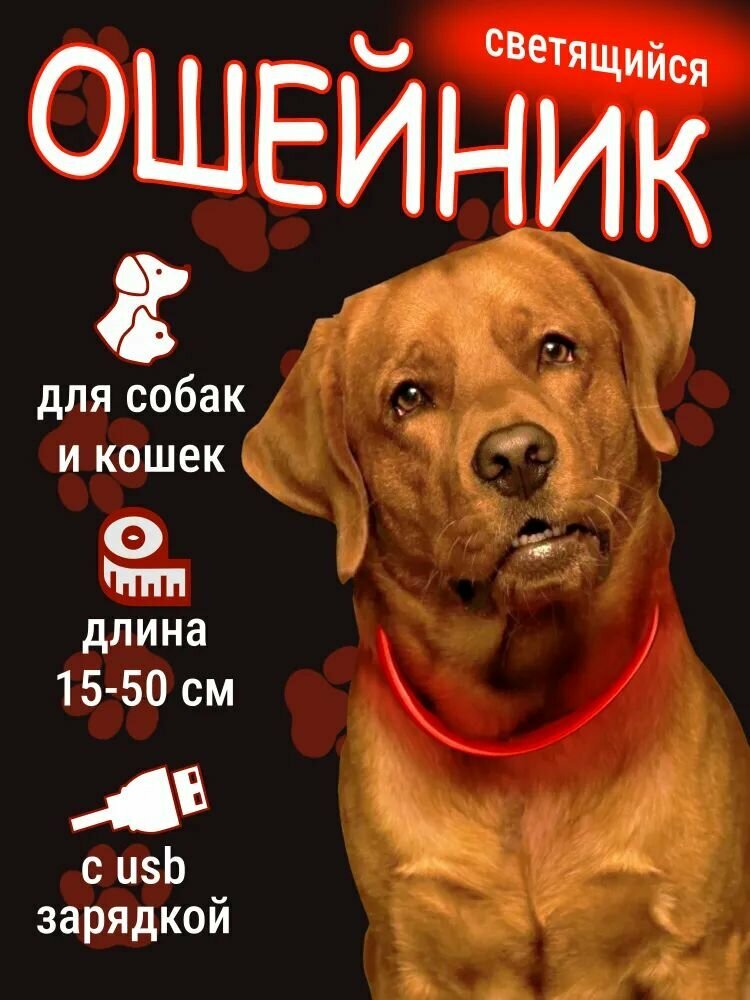 Ошейник светящийся светодиодный для собак и кошек с usb зарядкой, длина 15-50 см.