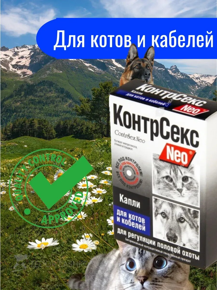 Контрсекс NEO для половой охоты котов и кобелей, 2 мл капли