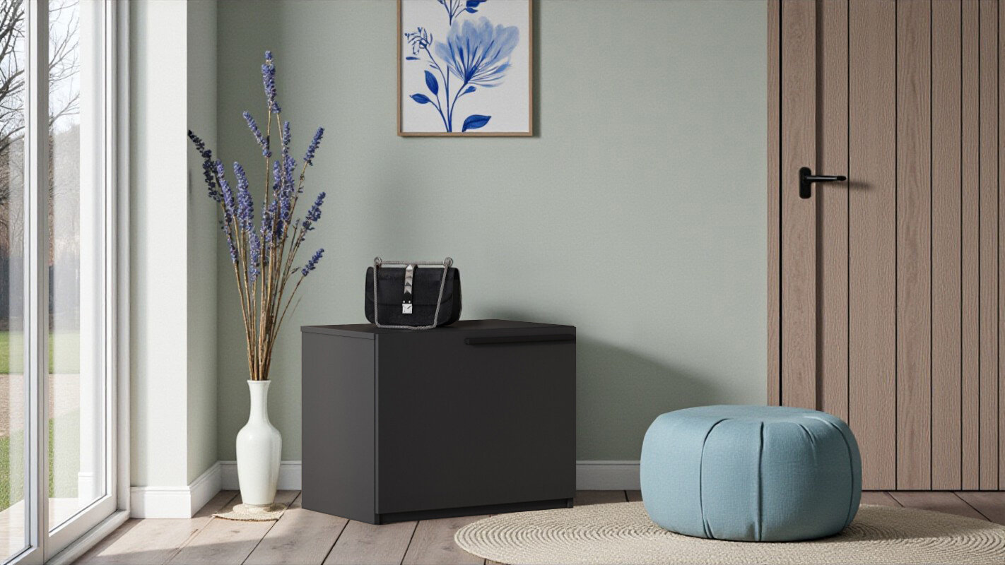 Обувница Лорена Пакс-1 Черныи 0190 PE NEW 59x43x48 см, черный GOODFORM