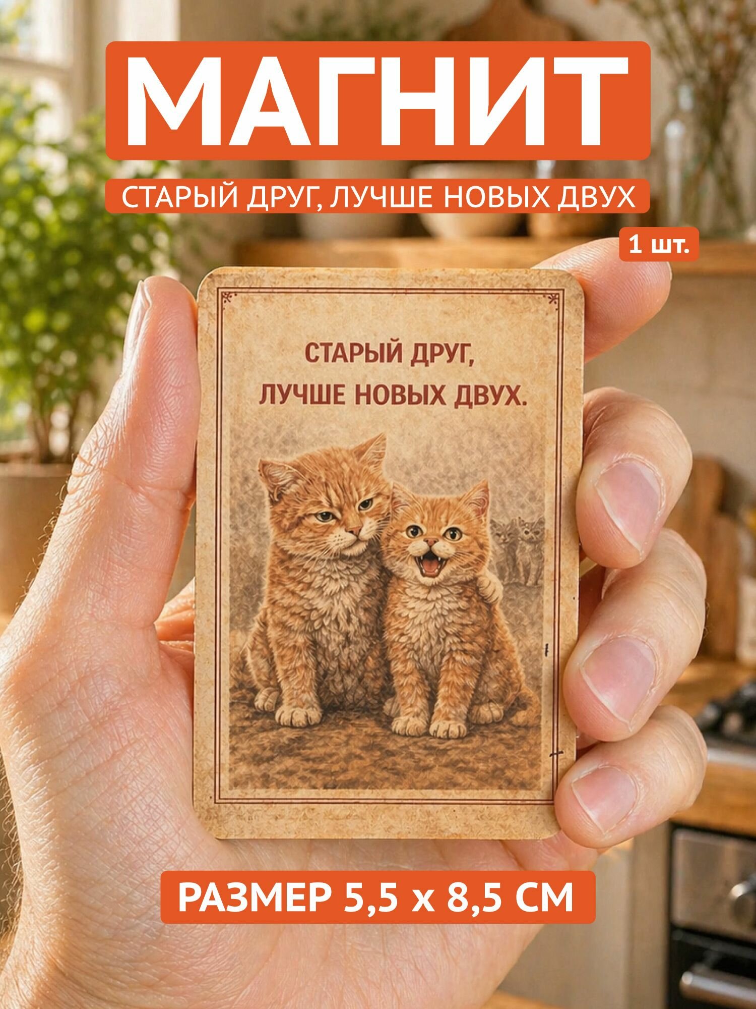 Магнит Старый друг- лучше новых двух. 5,5 на 8,5 см. 1 шт. Магнитик на холодильник с котиком.