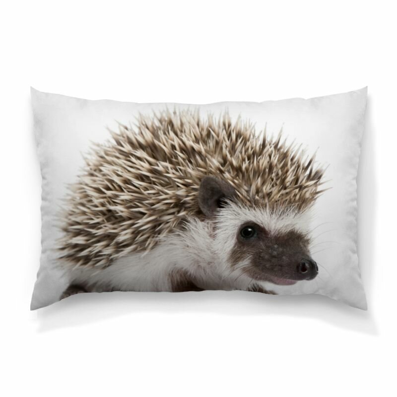 Подушка Ежик на прогулке #2086934