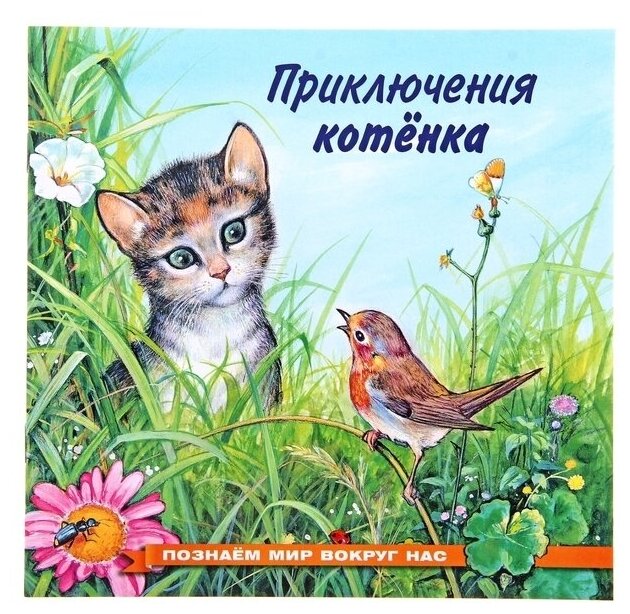 ПознаемМирВокругНас Приключения котенка, Арт.19747/28220, (Фламинго, 2020)