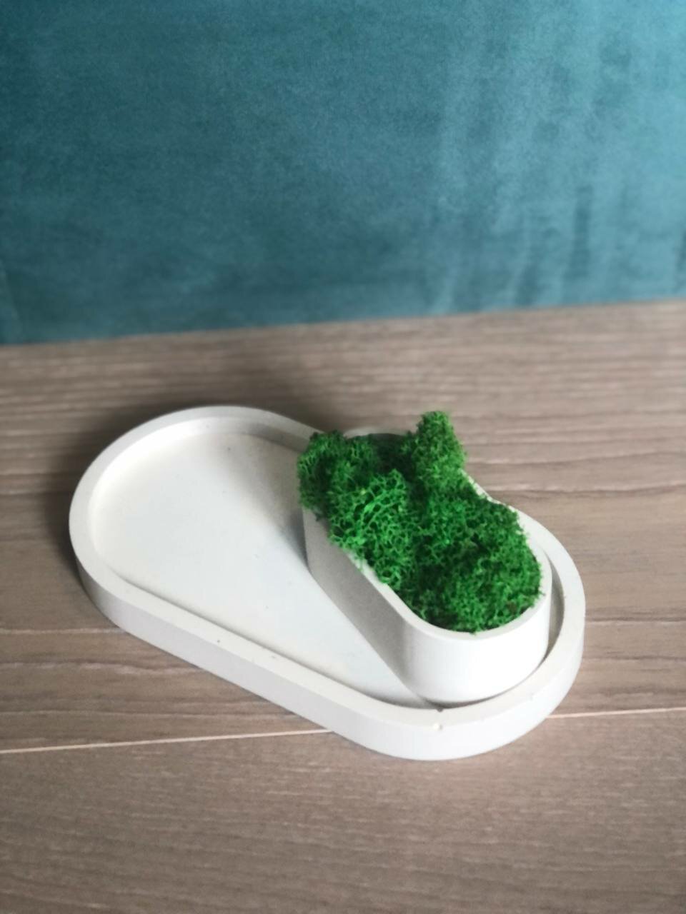 Кашпо из гипса, шкатулка, для мелочей, кашпо с мхом, стабилизированный мох.