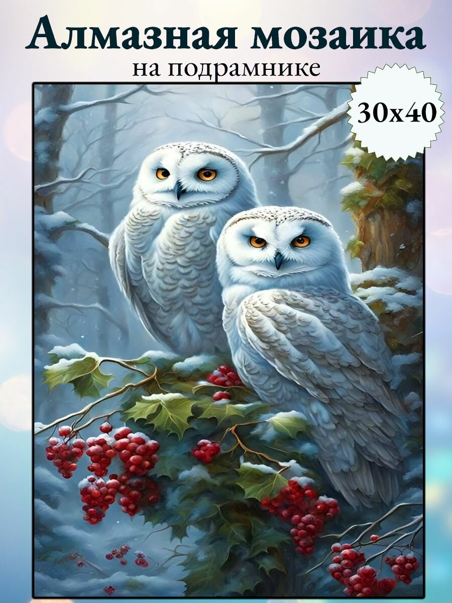 Алмазная мозаика, алмазная живопись на подрамнике 30х40 Картина стразами "Белые совы"
