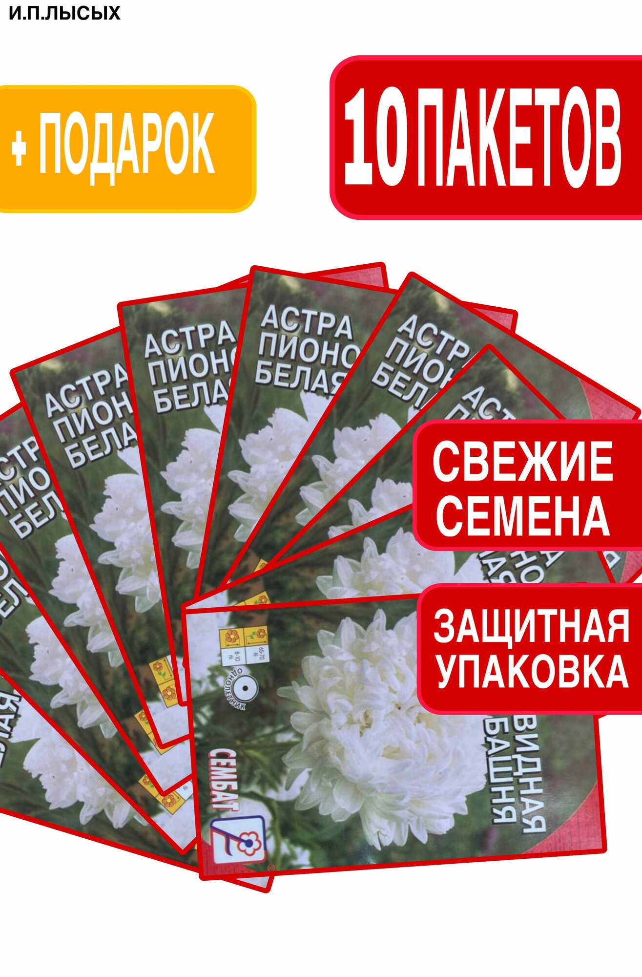 Семена цветов Астра пионовидная белая башня