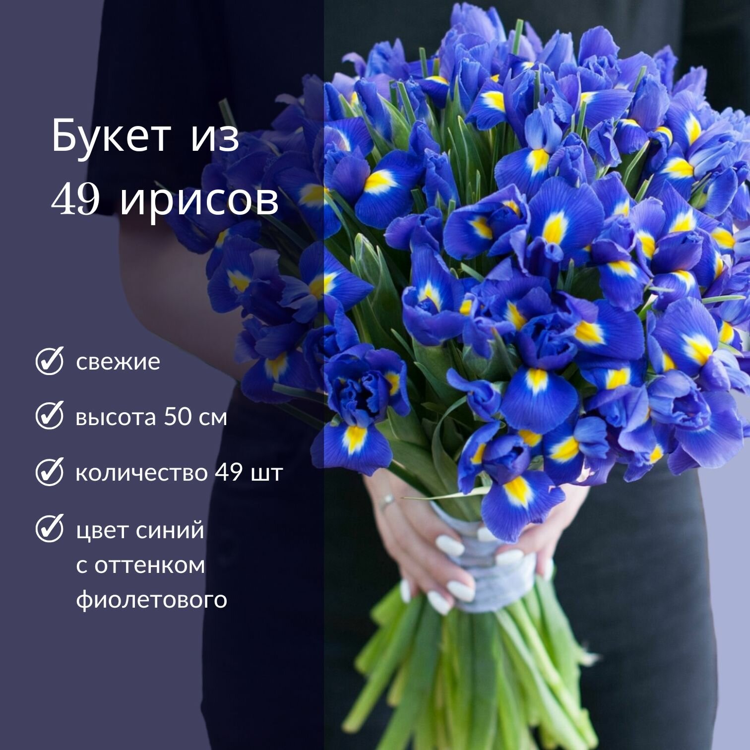 Букет ирисы фиолетовые 49шт 50см живые свежие