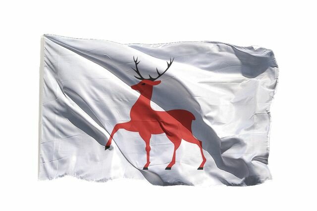 Флаг Нижнего Новгорода на сетке 100х150 см для уличного флагштока