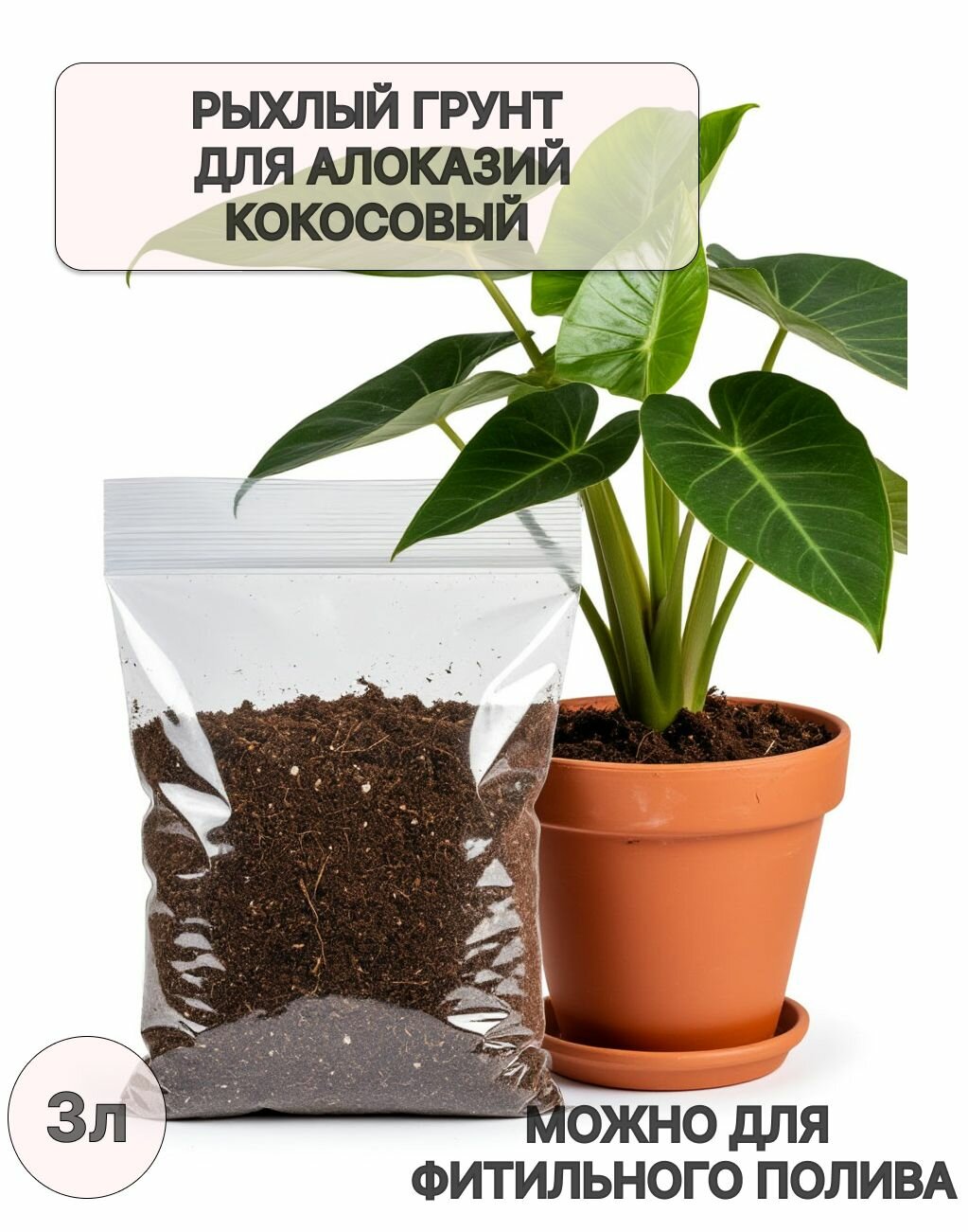 Грунт для алоказий и других ароидных растений, готовый субстрат