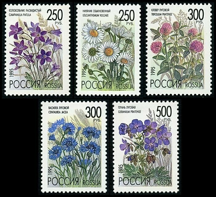 Почтовые марки России. 1995 год. Флора. Полевые цветы. Серия из 5 марок. MNH(**)