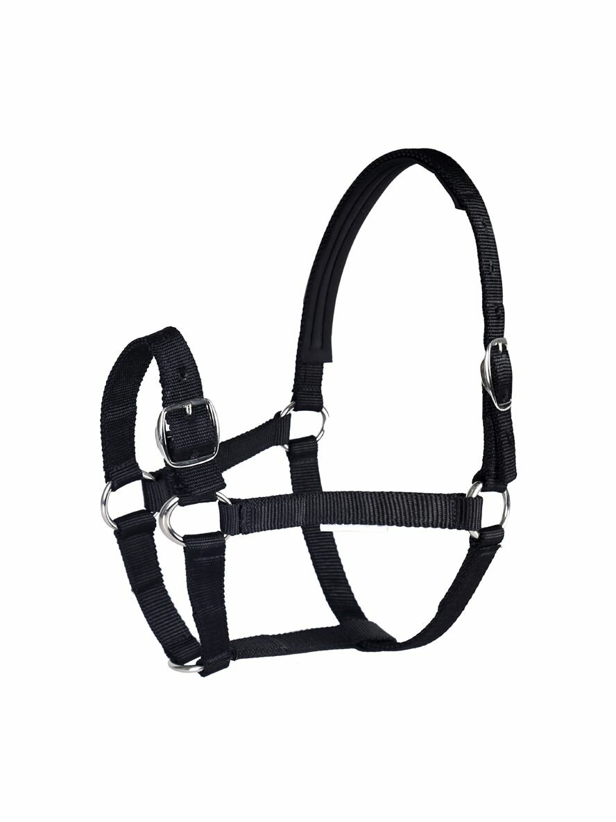 Недоуздок Cavassion, упряжная амуниция, текстиль, длина 20см, ширина 20см