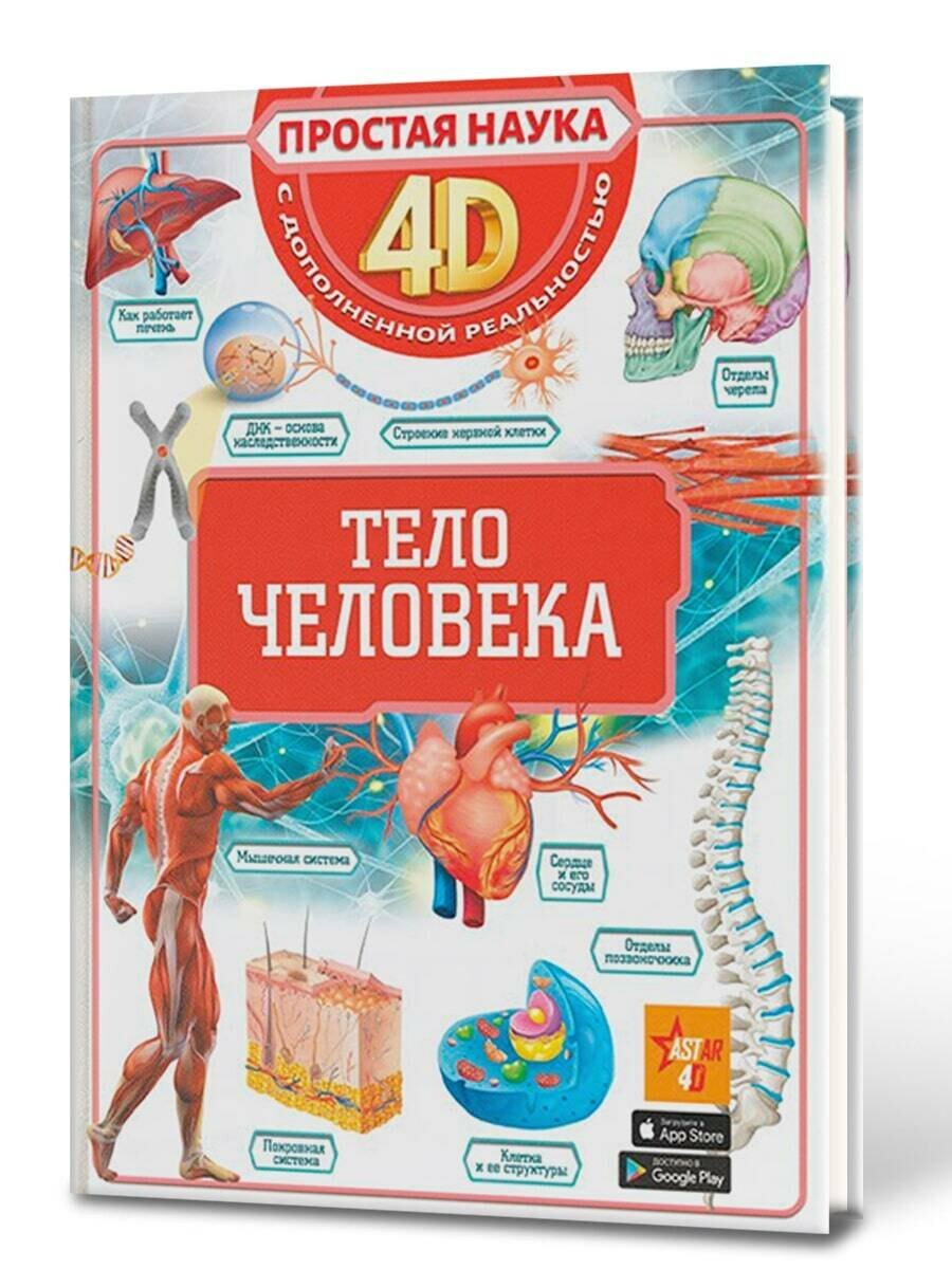 Тело человека — фото 1