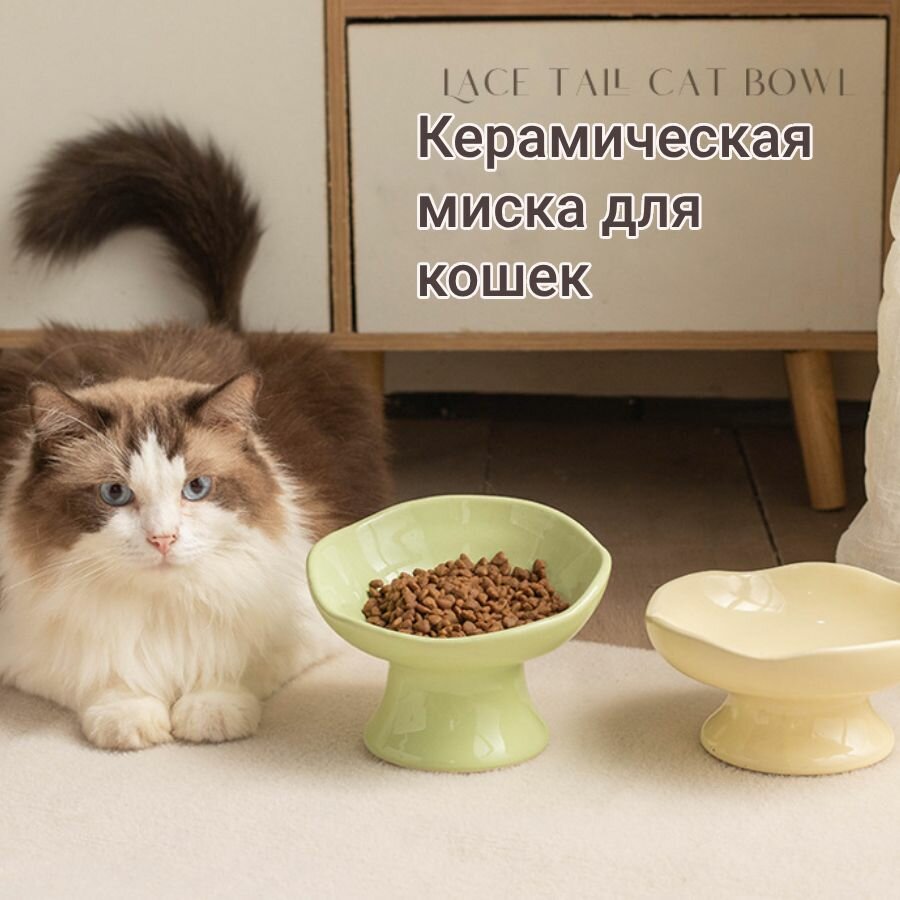 Керамическая миска для кошек, собак, животных