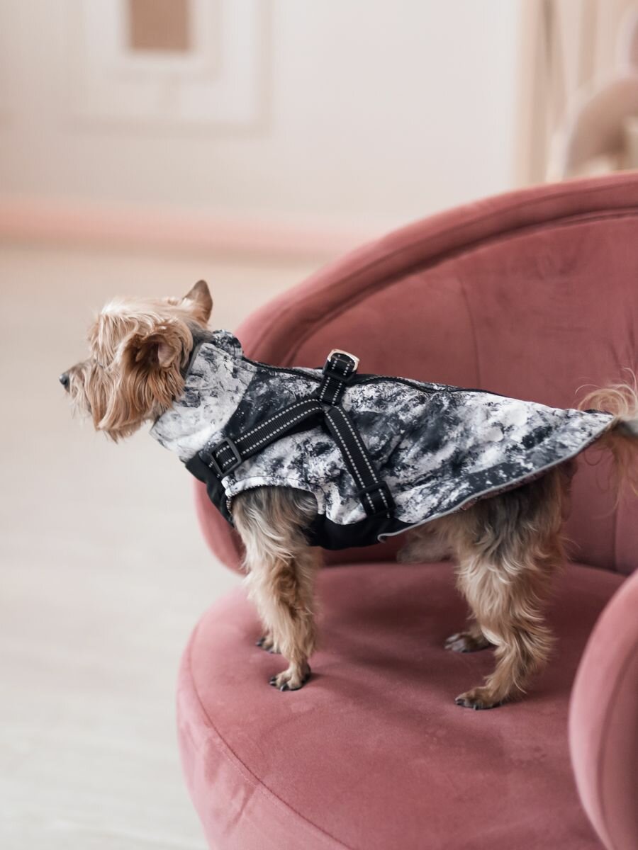 Куртка/жилет для собак, одежда для собак, "Не Один Дома" Snow, бело-серый, M, длина спинки - 35 см