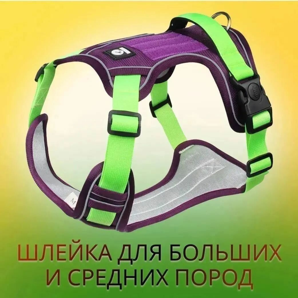Шлейка