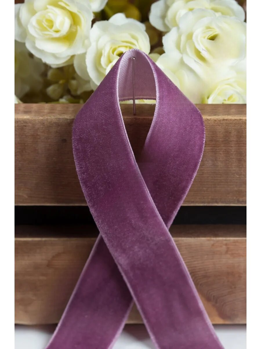 Бархатная лента Premium2,5см (4м)